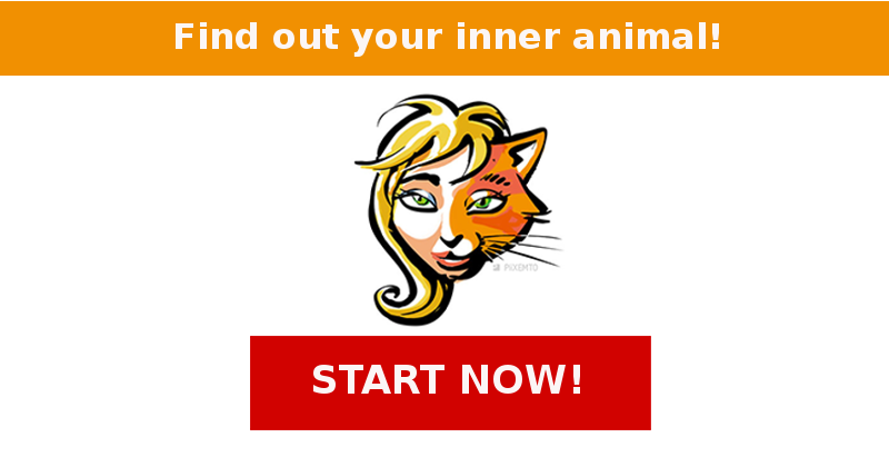 The Animal In You