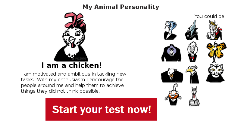 You are a Chicken!