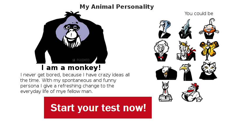 You are a Monkey!