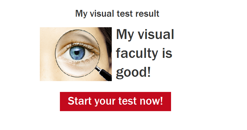 Your visual test result